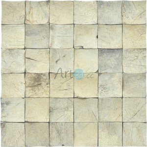 Coconut Shell Mosaic