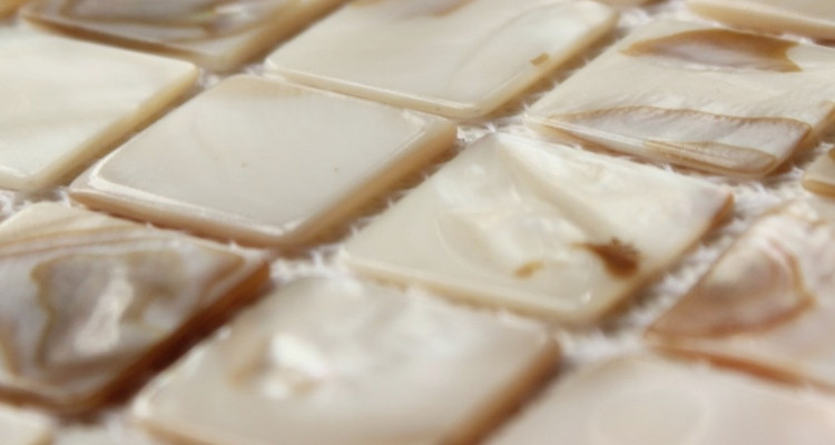 Decorative Mosaic Tile Colorful River Bed Natural Pearl Shell Tile